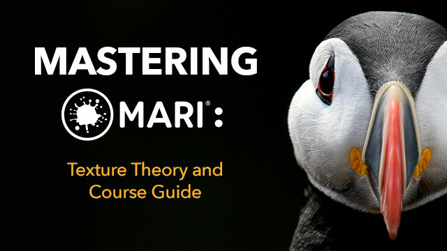 Mari Curriculum